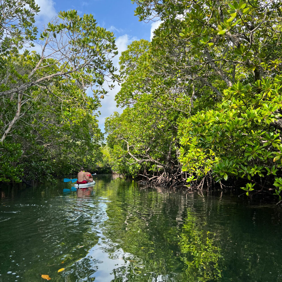 Garoda Resort Watamu - Garoda Beach - garoda.com