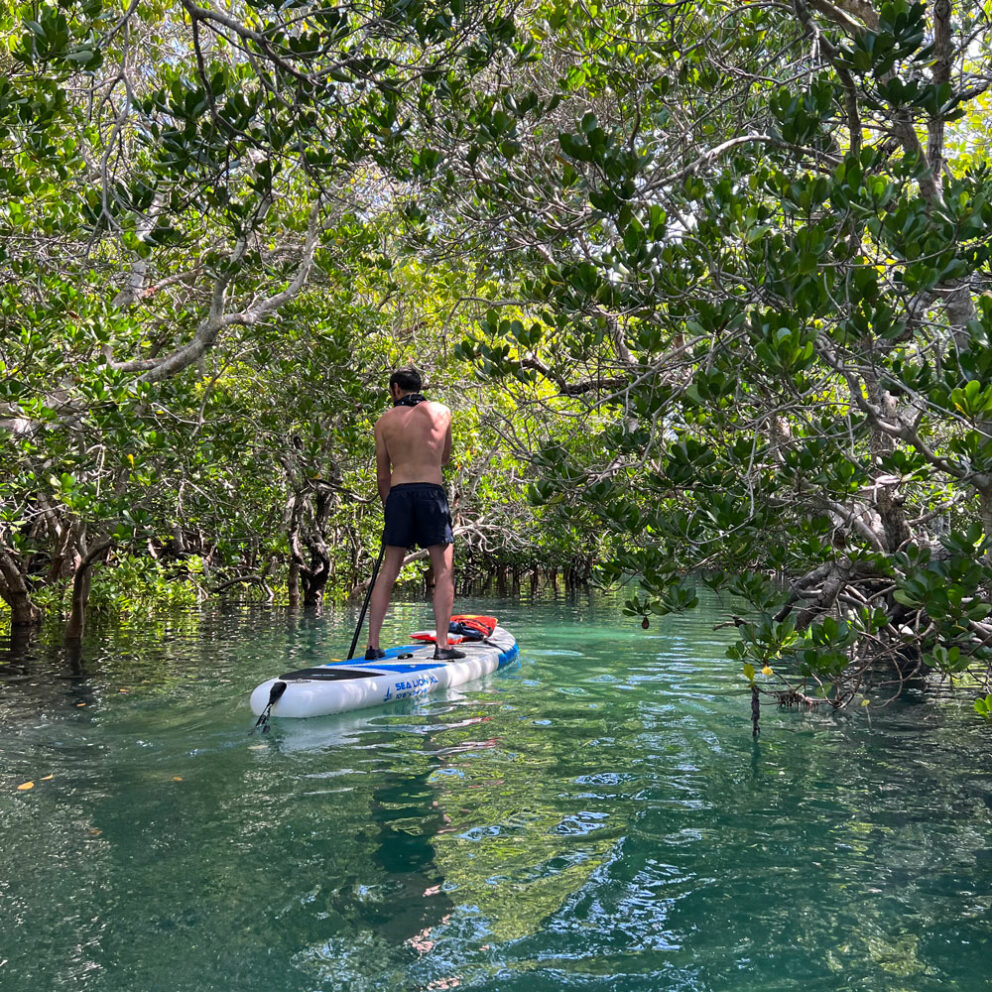 Garoda Resort Watamu - Garoda Beach - garoda.com